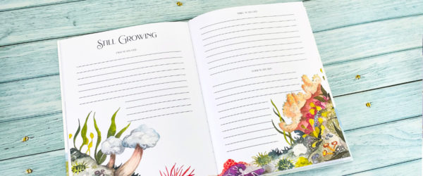 A Practical Guide to Uncoated Paper Options for Offset Printing