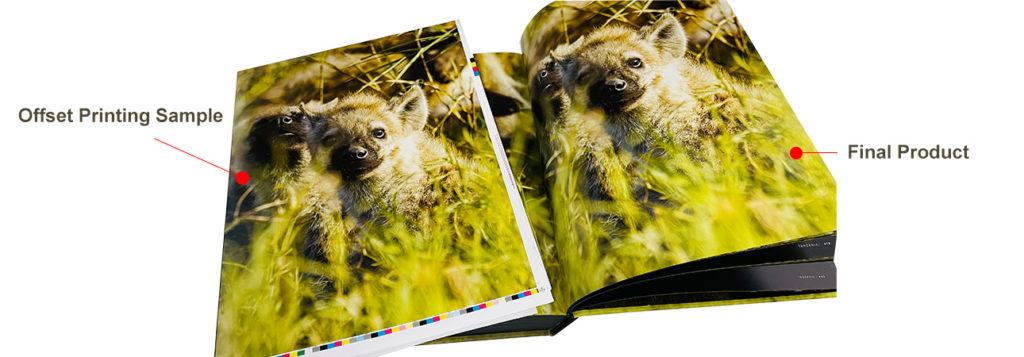 A Practical Guide to Digital and Hard Proofs and Samples for Offset ...