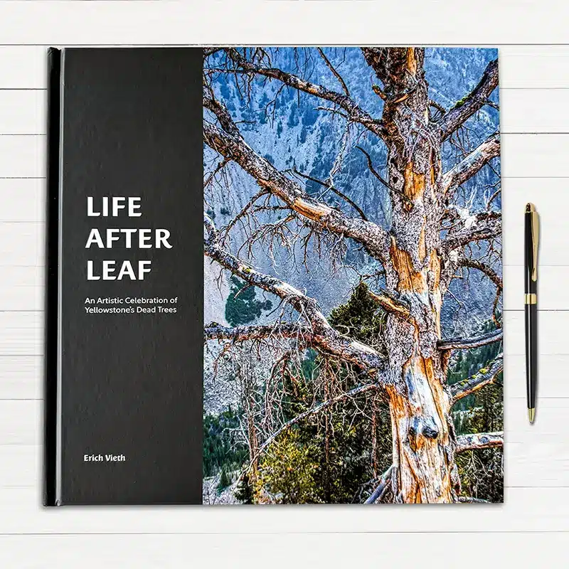 Large Format Book Printing and Binding Services