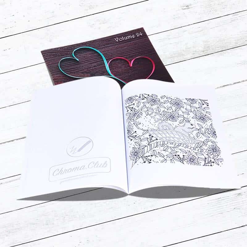 Custom Coloring Book Printing at Affordable Prices | QinPrinting