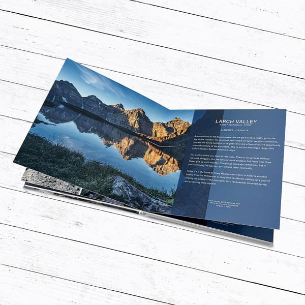 High-Quality Professional Children’s Board Book Printing Services Worldwide