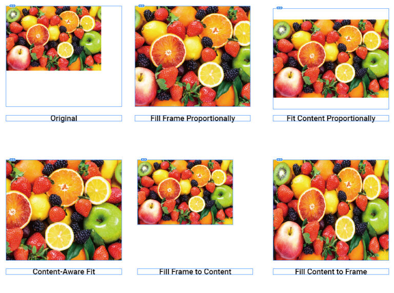 An In-Depth Guide to Book Layouts with Adobe InDesign