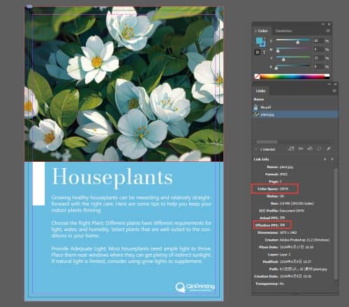 How to Create a Print-Ready File for Printing