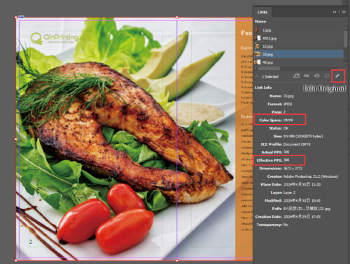 An In-Depth Guide to Book Layouts with Adobe InDesign
