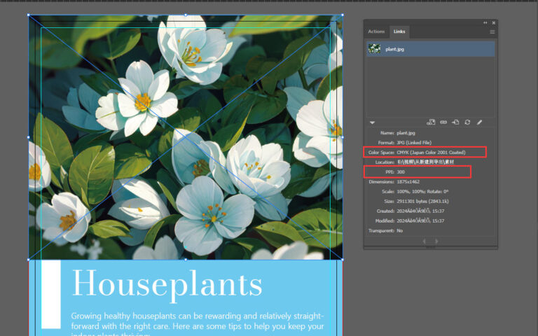 How to Create Print-Ready Design Files in Adobe Illustrator