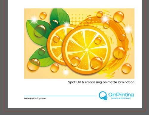 Everything You Need to Know About Spot UV Coating