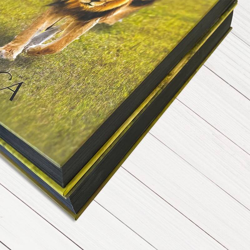 Painted Edges, Gilded Edges, and Patterned Edges Book Printing Painted Edges, Gilded Edges, and Patterned Edges Book Printing