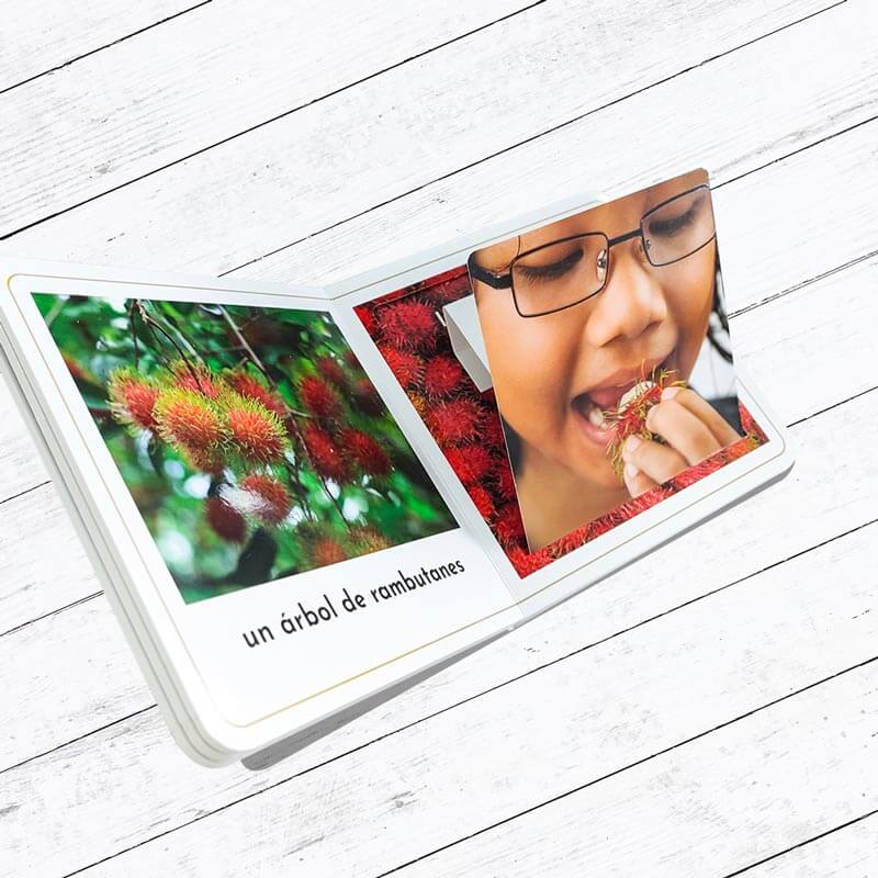 High-Quality Professional Pop-Up Book Engineering and Printing Services