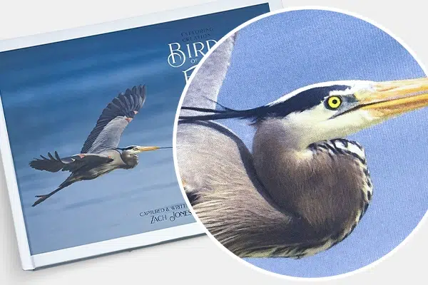 Cloth Cover Book Printing | Custom Linen Hardcover Books